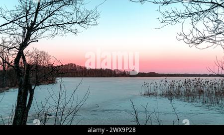 spring morning, evening, swamp lake shore, swamp vegetation at the end ...