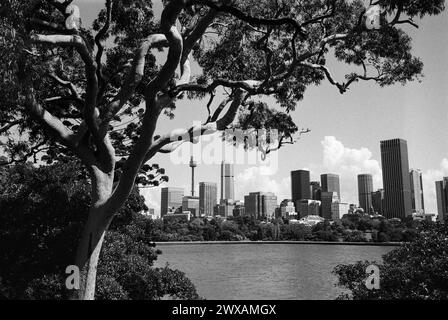 The Sydney skyline in the 1980s, Australia Stock Photo - Alamy