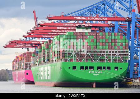 Evergreen Container Ship - The Ever Genius container ship unloading ...