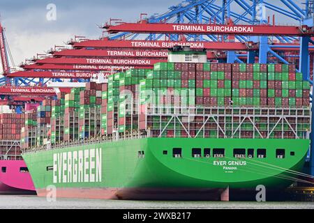 Evergreen Container Ship - The Ever Genius container ship unloading ...