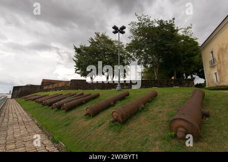 Old Rusty Cannons Laying on the Grass at the Historical Fort in Belem ...