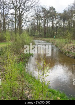 eibergen in the netherlands Stock Photo - Alamy