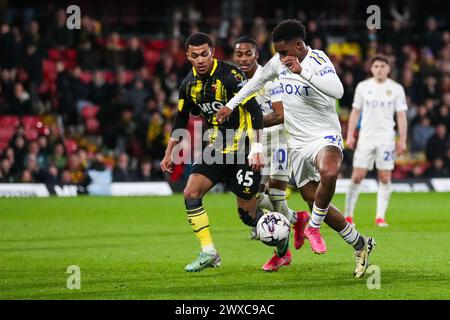 Watford's Ryan Andrews battles for the ball against Norwich City's ...