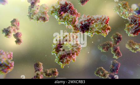 Illustration of antibody technologies, based on the 3D structure of ...