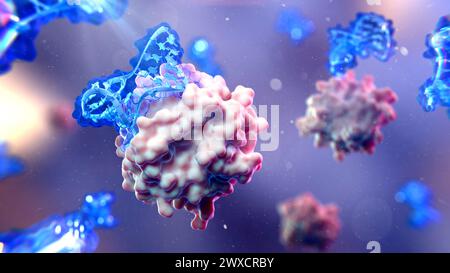 Illustration of an aptamer drug. Aptamers are a special class of ...