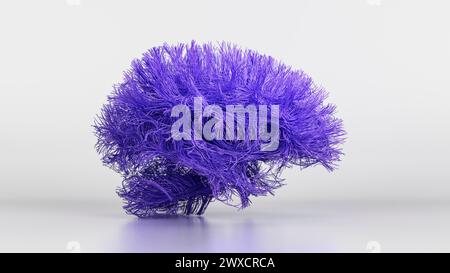 Illustration of human brain nerve tracts (neural pathways), based on ...