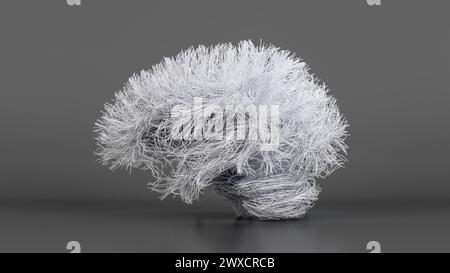 Illustration of human brain nerve tracts (neural pathways), based on ...