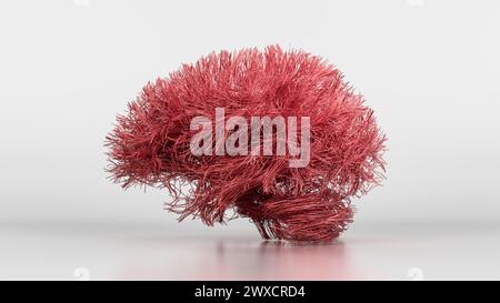 Illustration of human brain nerve tracts (neural pathways), based on ...