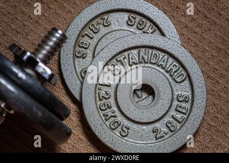 Old used gym weights. Close up on worn dumbbell, fitness equipment in ...