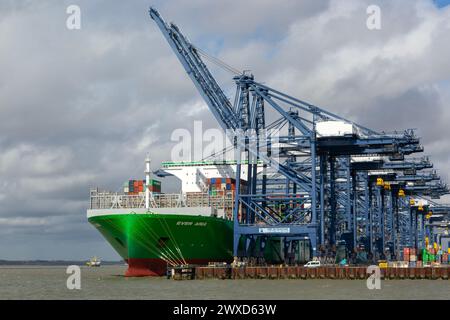 Ever Aria container ship at quayside, Port of Felixstowe, Suffolk ...