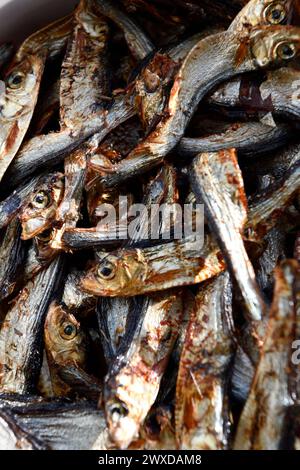 Macro natural forage food portrait of Castanea sativa, sweet chestnut ...