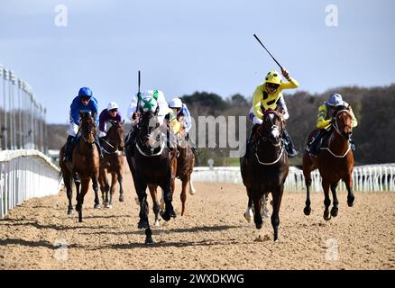 Racehorse CUBAN TIGER Stock Photo - Alamy