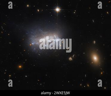 This NASA/ESA Hubble Space Telescope image shows the massive elliptical ...