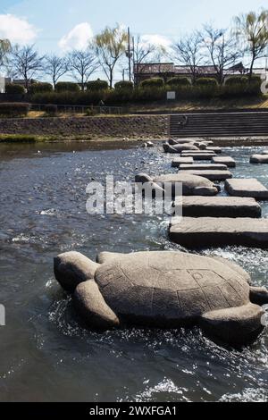 Stepping stones through Kamo river and decorative elements (turtles ...