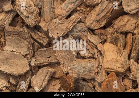 Small pieces of brown tree bark natural background texture decorative ...