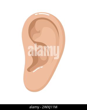 Illustration of human ear cartoon isolated drawing Stock Vector Image ...