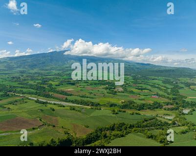 Aerial view of sugarcane plantations and agricultural land in the ...