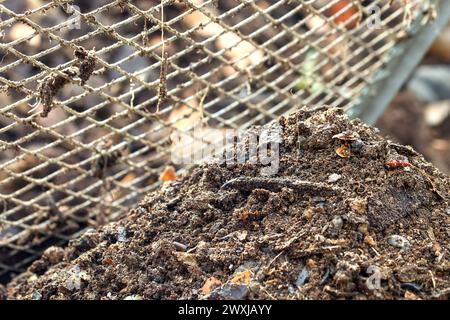 Freshly sifted compost soil to fertilize the garden Stock Photo - Alamy