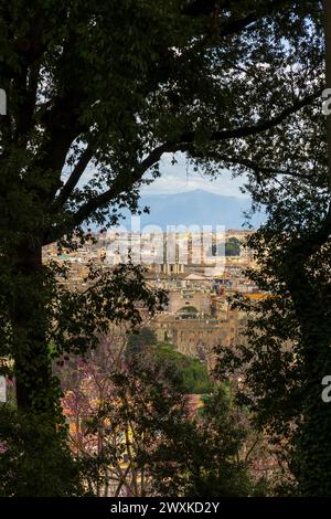 Aerial view of Rome from Janiculum Hill, Italy Stock Photo - Alamy