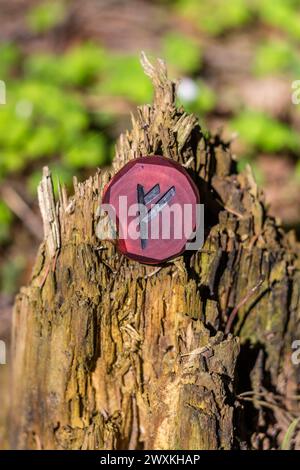 Rune Fehu carved from wood on an old stump - Elder Futhark Stock Photo ...
