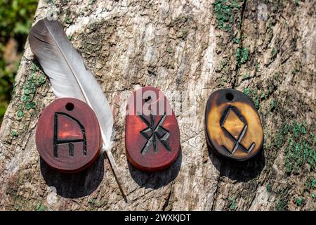 A set of talismans of three runes - Odal (Othala), Yr (bow) and double ...