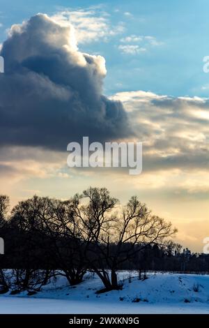 Dense cumulus clouds Stock Photo - Alamy