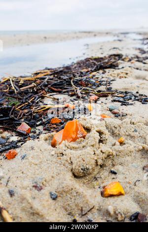 Beautiful pieces of amber on the sandy beach, amber background. close ...