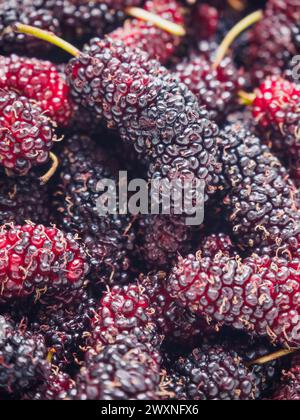 fresh mulberry closeup background Stock Photo - Alamy