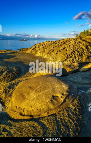 Weathered sandstone with tafoni formations along a coastal outcrop ...