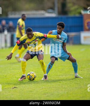Brentwood, Uk, Essex 1st Apr 2024 Brentwood Town Football club v Witham ...