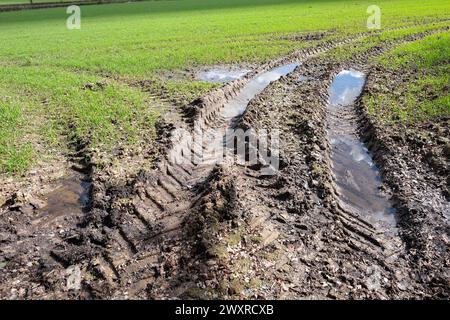 waterlogged farmers field april 2024 Stock Photo - Alamy
