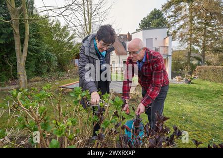 Wassenach, Germany. 21st Mar, 2024. Beate and Ulrich Heinen paint a ...