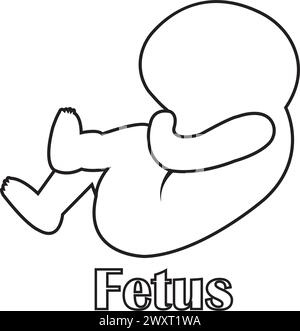 Fetal stage icon. Human child in uterus. Pregnancy symbol isolated on ...