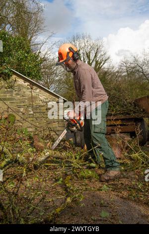 Tree felling helmet front view Stock Photo - Alamy