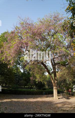 Nana Rao Park or Company Bagh (formerly Memorial Well Garden). Kanpur ...