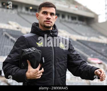 Bruno Guimarães of Newcastle United arrives during the UEFA Champions ...