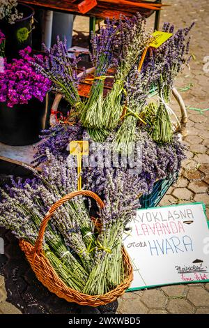 Flowers for sale at a Croatian flower market Stock Photo - Alamy