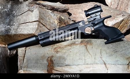 Reximex Mito S PCP air pistol Stock Photo - Alamy