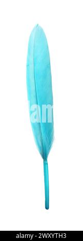 Beautiful light blue feather isolated on white Stock Photo - Alamy