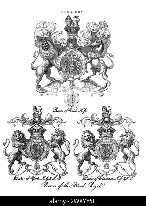 The *Blazon* is a heraldic design or coat of arms featured in the MET ...