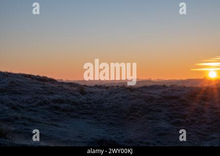 Winter sunrise in the Dutch dunes Stock Photo - Alamy
