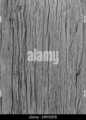 Grayscale of a textured wood Stock Photo - Alamy