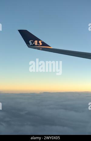 SAS airlines logo on the wing of a Scandinavian Airlines airplane ...