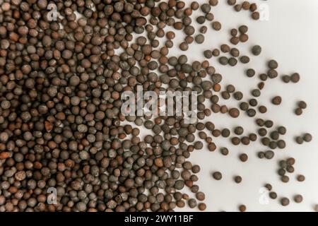 Brown Mustard Seeds Also Know as Rai Spice Background Stock Photo - Alamy