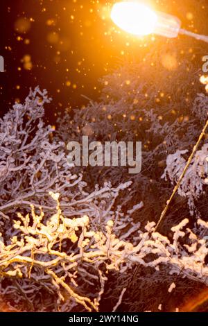 Falling snow under a street lamp, vertical Stock Photo - Alamy