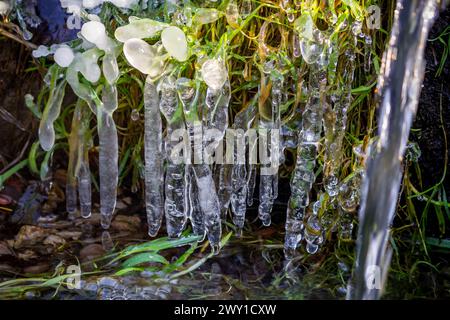 Beautiful icy spring in sunny day, build-up of ice near the source in ...