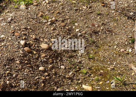 Dry and dusty ground texture with pebbles and dirt and little ...