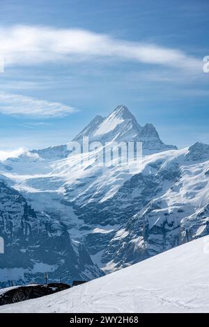 Wetterhorn and Mattenberg in spring, Grindelwald, Berner Oberland ...