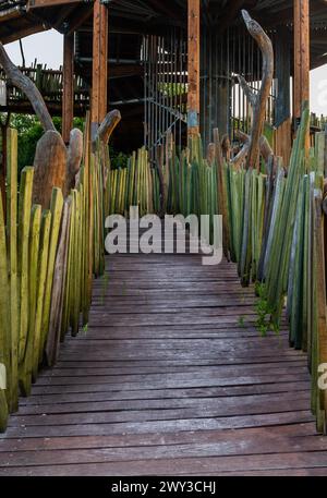 Wheel chair ramp entrance to wooden observation tower in public park in ...