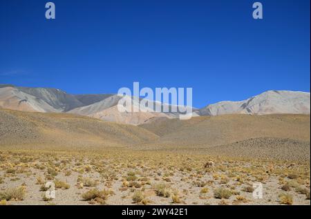 The splendid colors of the Puna Argentina landscape Stock Photo - Alamy